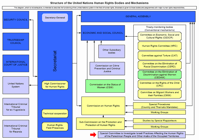 structure-of-the-united-nations-human-rights-bodies-and-mechanisms.png